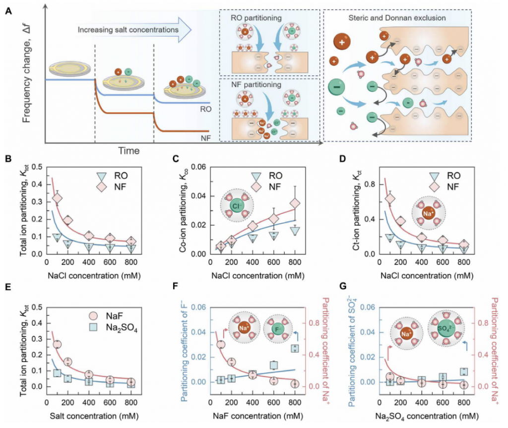 同济王志伟、王力团队联合莱斯大学Menachem Elimelech教授Sci. Adv.：QCM-D-EIS-MD联用破解聚酰胺膜离子选择性 ...
